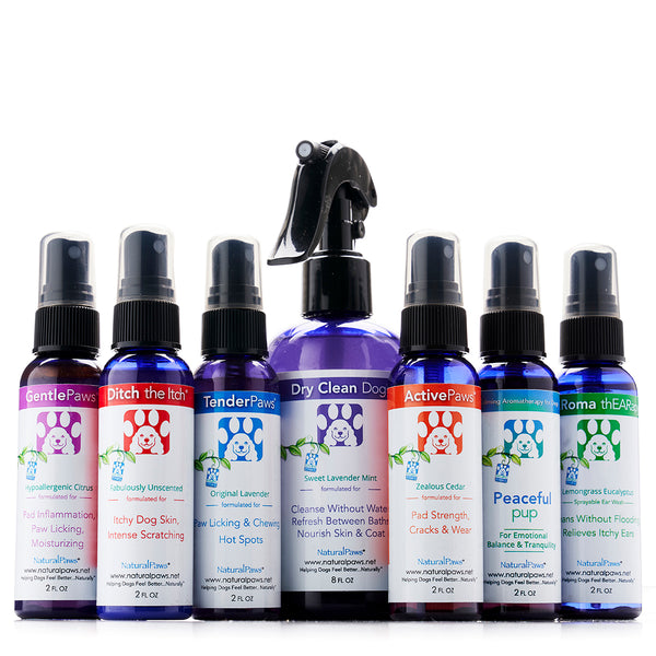 Active Paws- Paw Spray – RD Alchemy Natural Products
